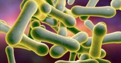 Difteria, ¿qué es y cuáles son sus síntomas?