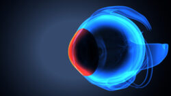 ¿Cómo es el DESARROLLO DEL OJO? - ClikiSalud.net | Fundación Carlos Slim