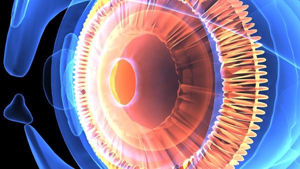 Salud Visual - ClikiSalud.net | Fundación Carlos Slim | ClikiSalud.net ...