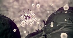 ¿Cuáles son los tipos de inmunidad que existen y protegen tu cuerpo?